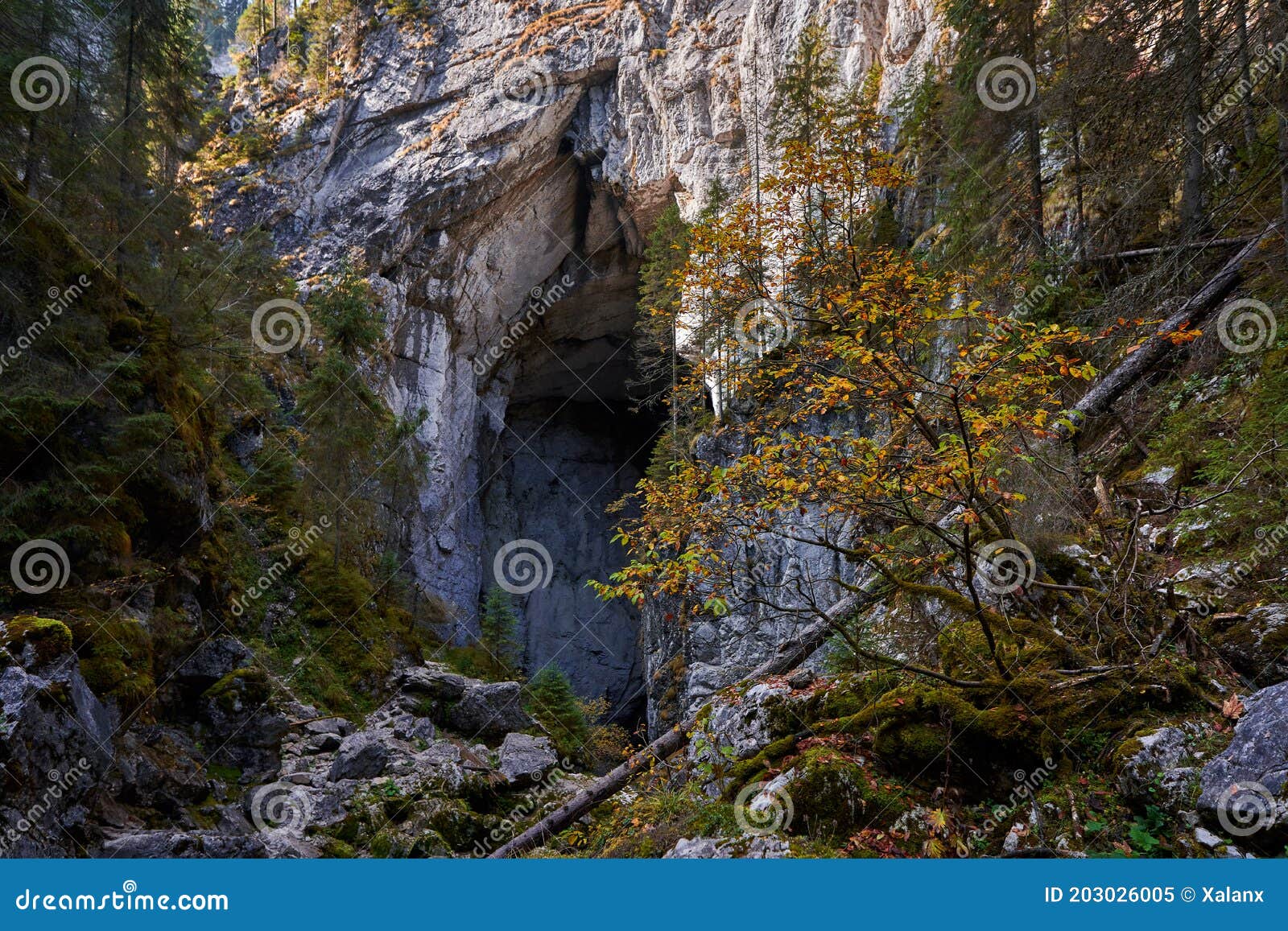Entrance of a big cave stock image. Image of explore - 203026005