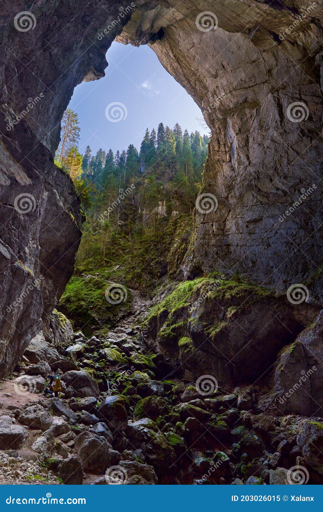 Entrance of a big cave stock image. Image of outdoor - 203026015