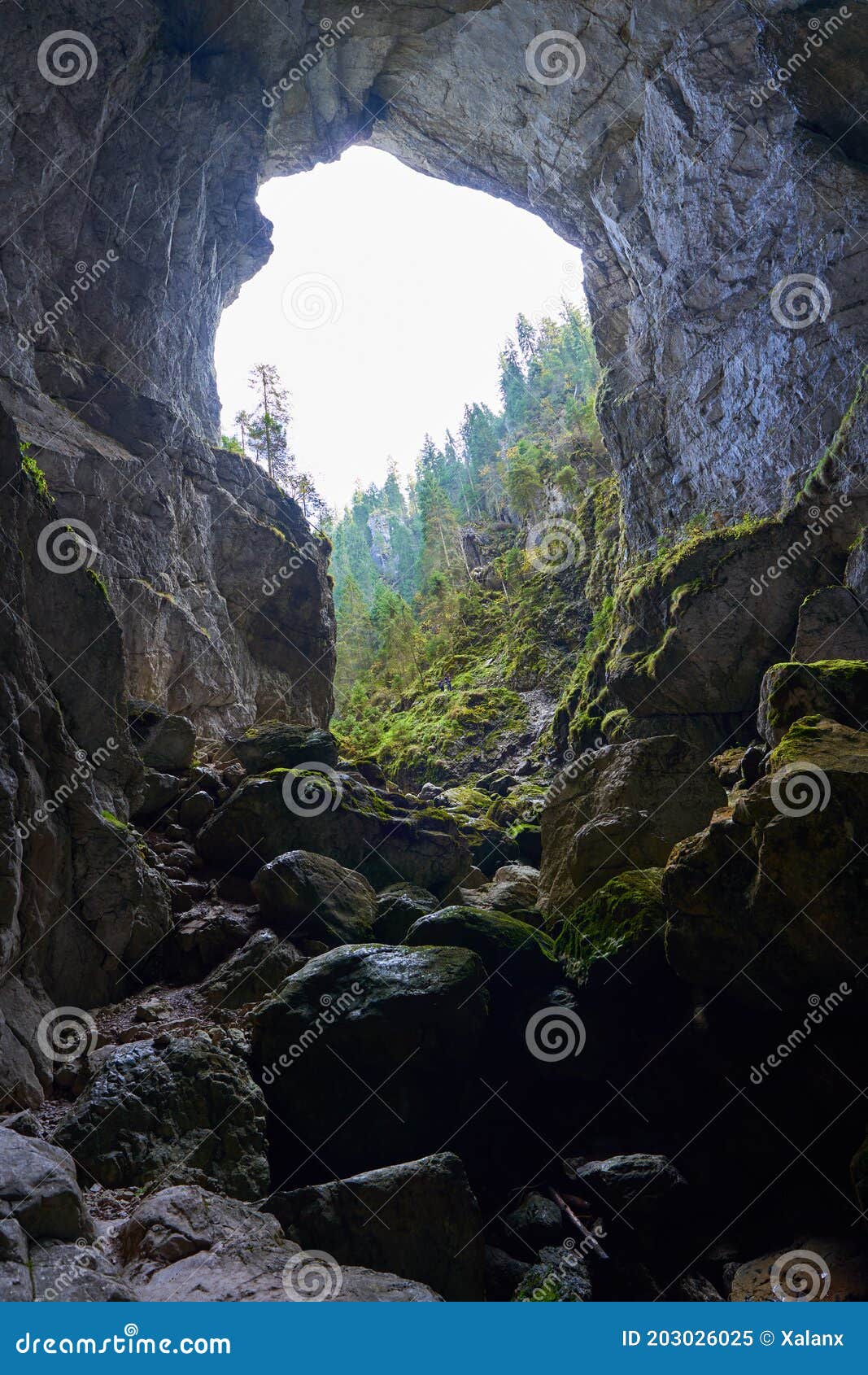 Entrance of a big cave stock image. Image of autumn - 203026025