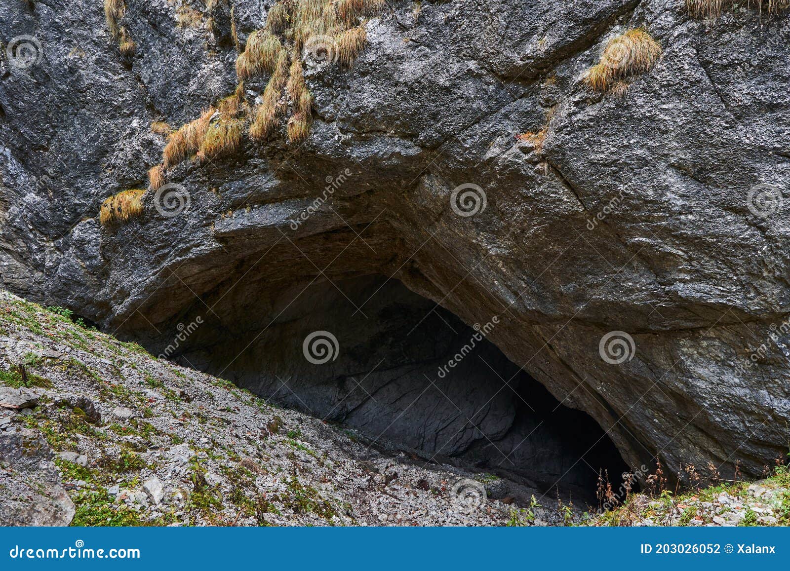 Entrance of a big cave stock photo. Image of cave, hole - 203026052