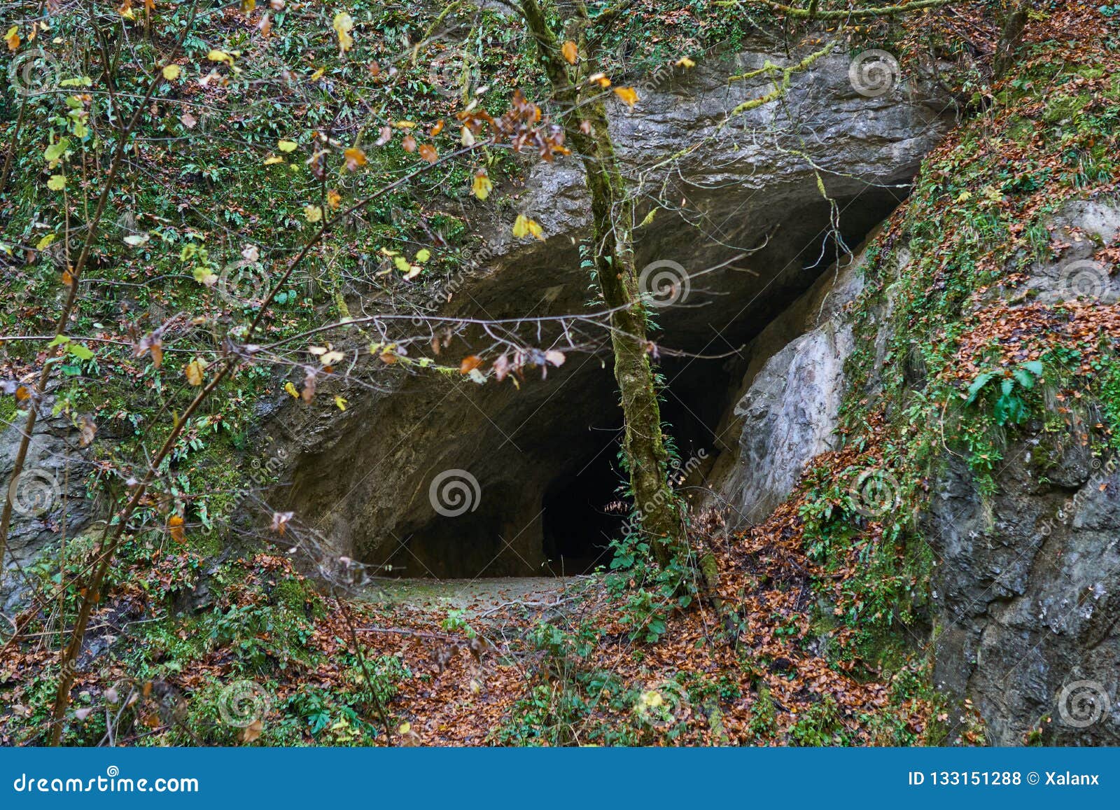 Entrance of a cave stock photo. Image of canyon, environment - 133151288