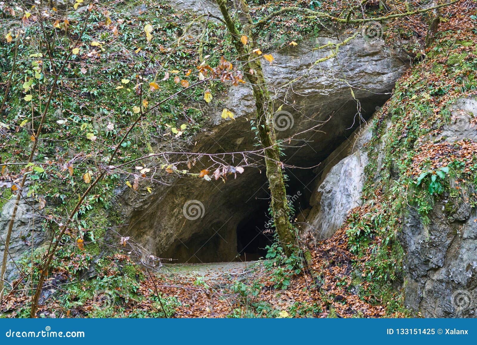 Entrance of a cave stock image. Image of park, ancient - 133151425