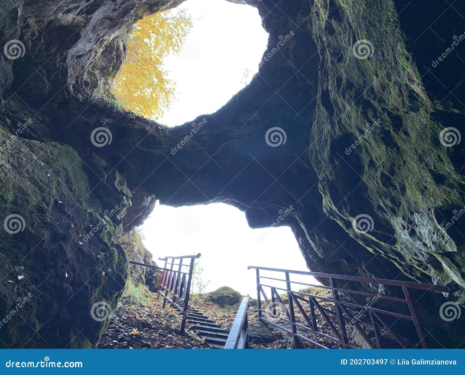 Entrance in a cave stock image. Image of monochrome - 202703497