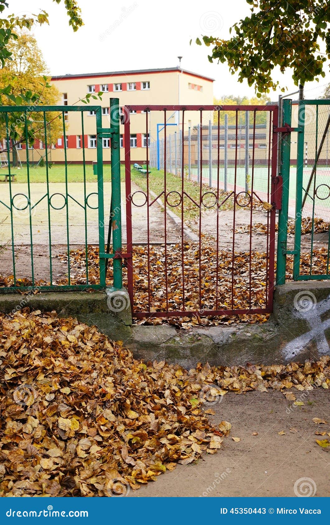 Entrance gate stock image. Image of locked, leaves, autumn - 45350443
