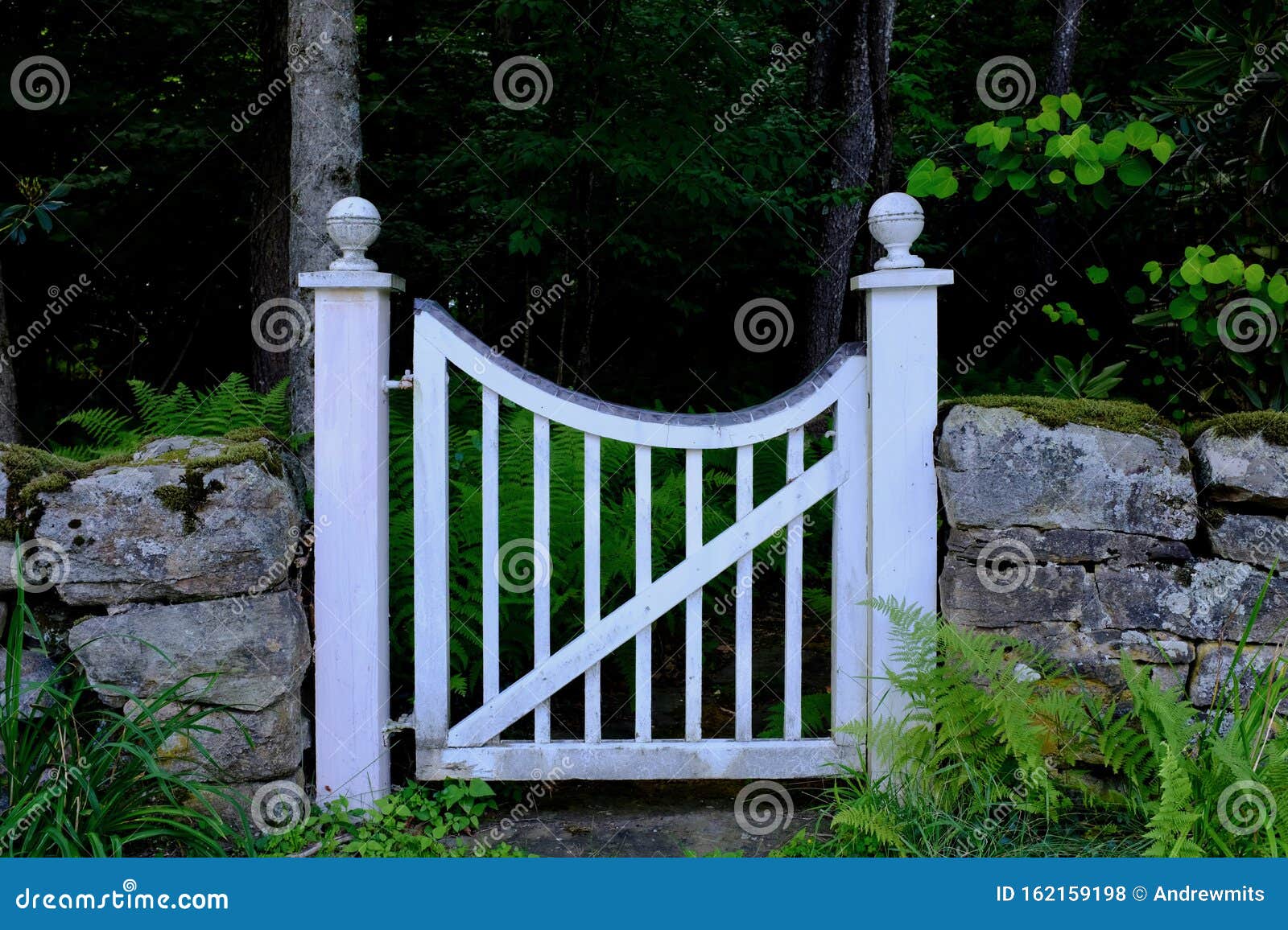 Entrance Gate To Dark Forest Stock Photo - Image of dark, green: 162159198