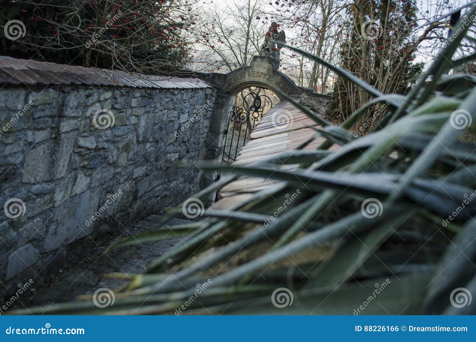 Entrance Of A Graveyard With A Open Wrought-iron Gate Stock Photo ...