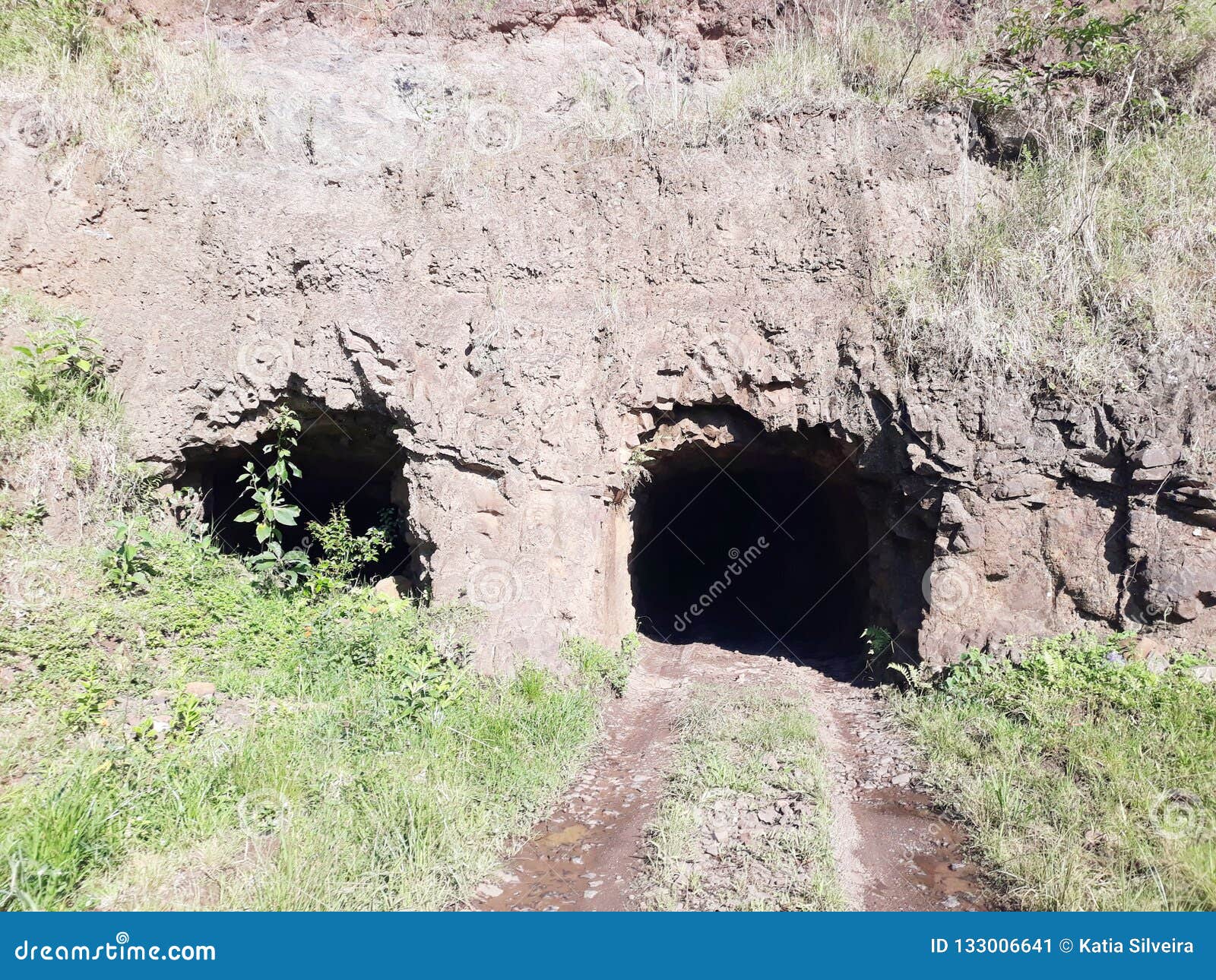 Entrance of a Mine into a Cave Stock Image - Image of entrance, nature ...