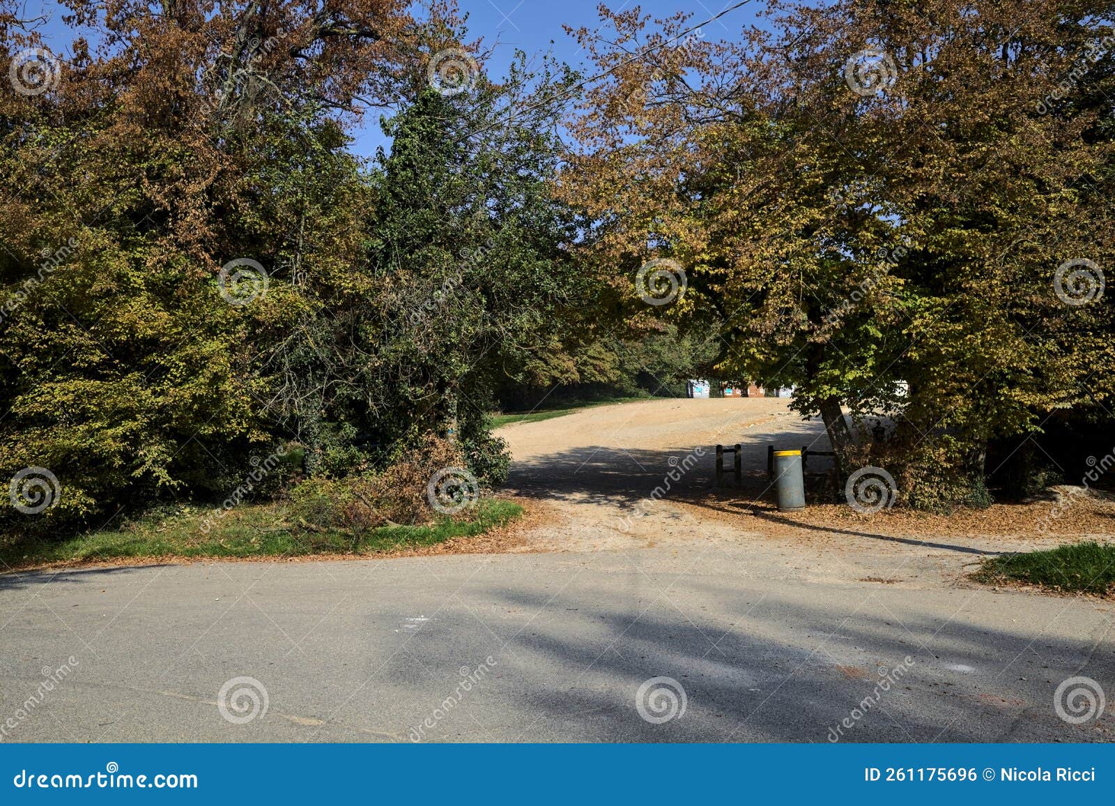 Entrance of an Open Space with Bare Ground in a Forest Stock Photo ...