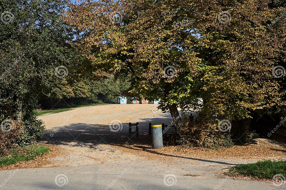 Entrance of an Open Space with Bare Ground in a Forest Stock Image ...