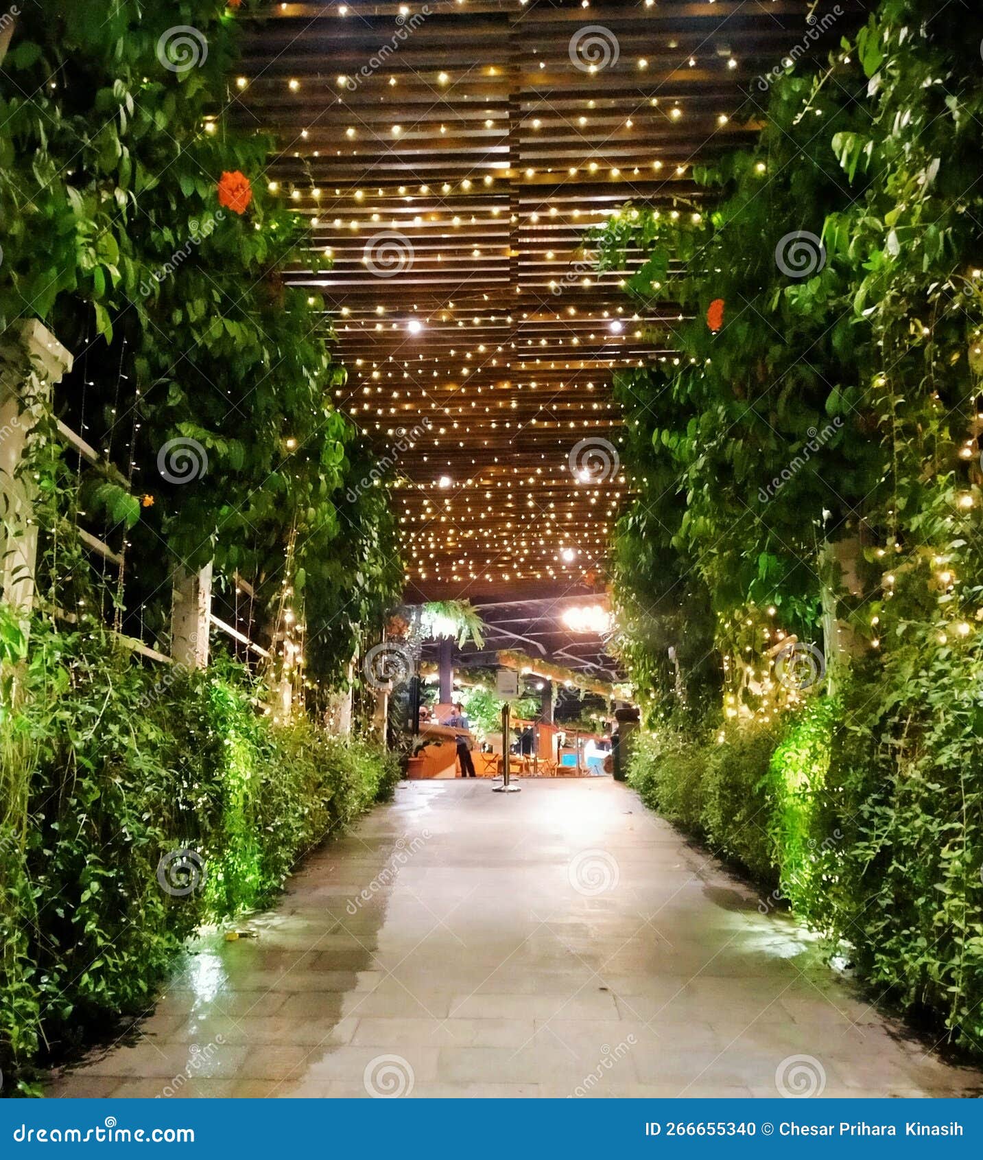 Entrance To the Beauty of Nature Stock Photo - Image of nature, beauty ...