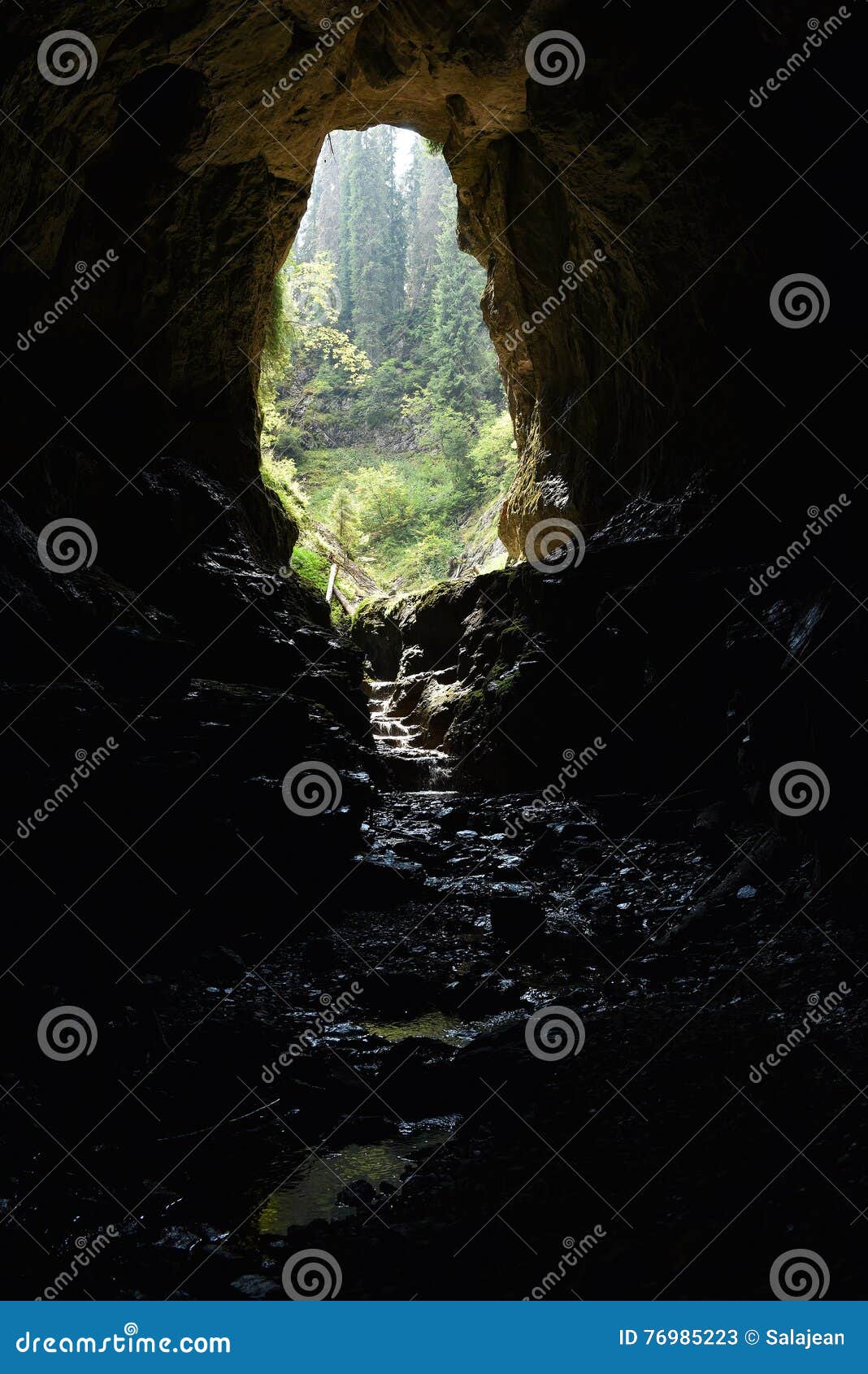 Entrance to a cave stock image. Image of gate, darkness - 76985223