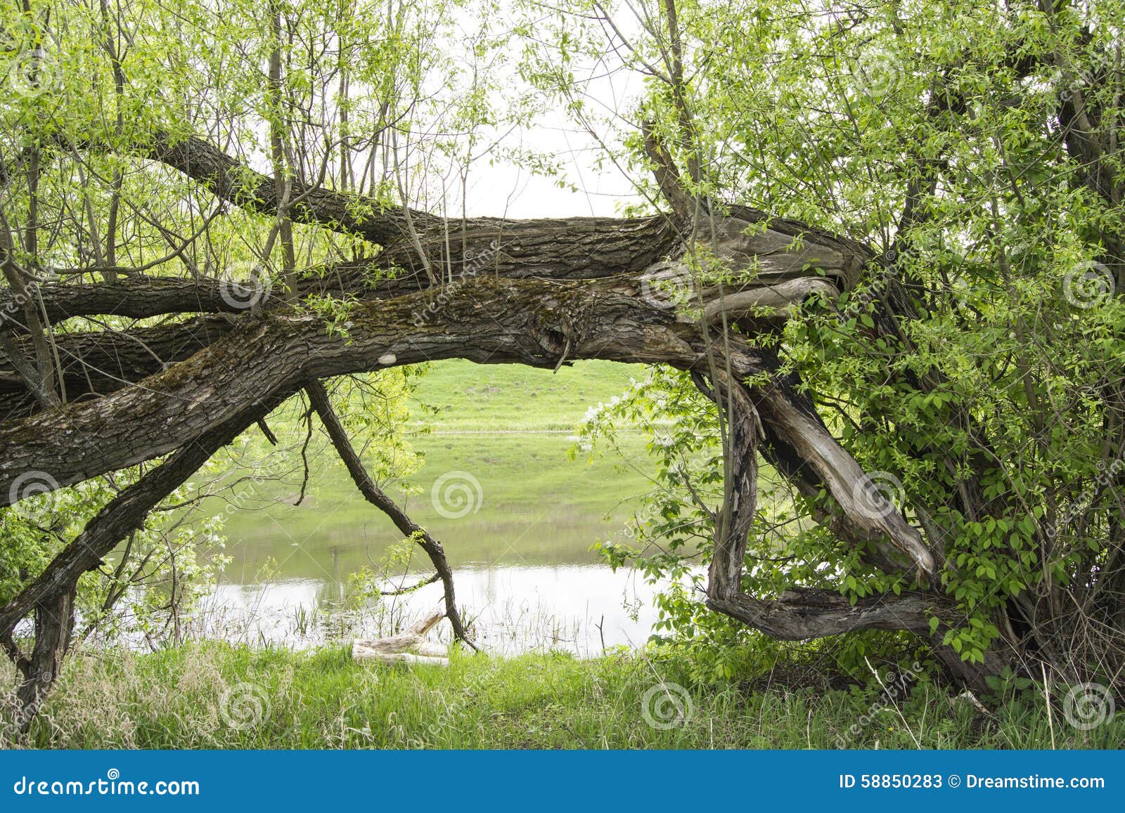 Entrance to the river stock image. Image of entrance - 58850283