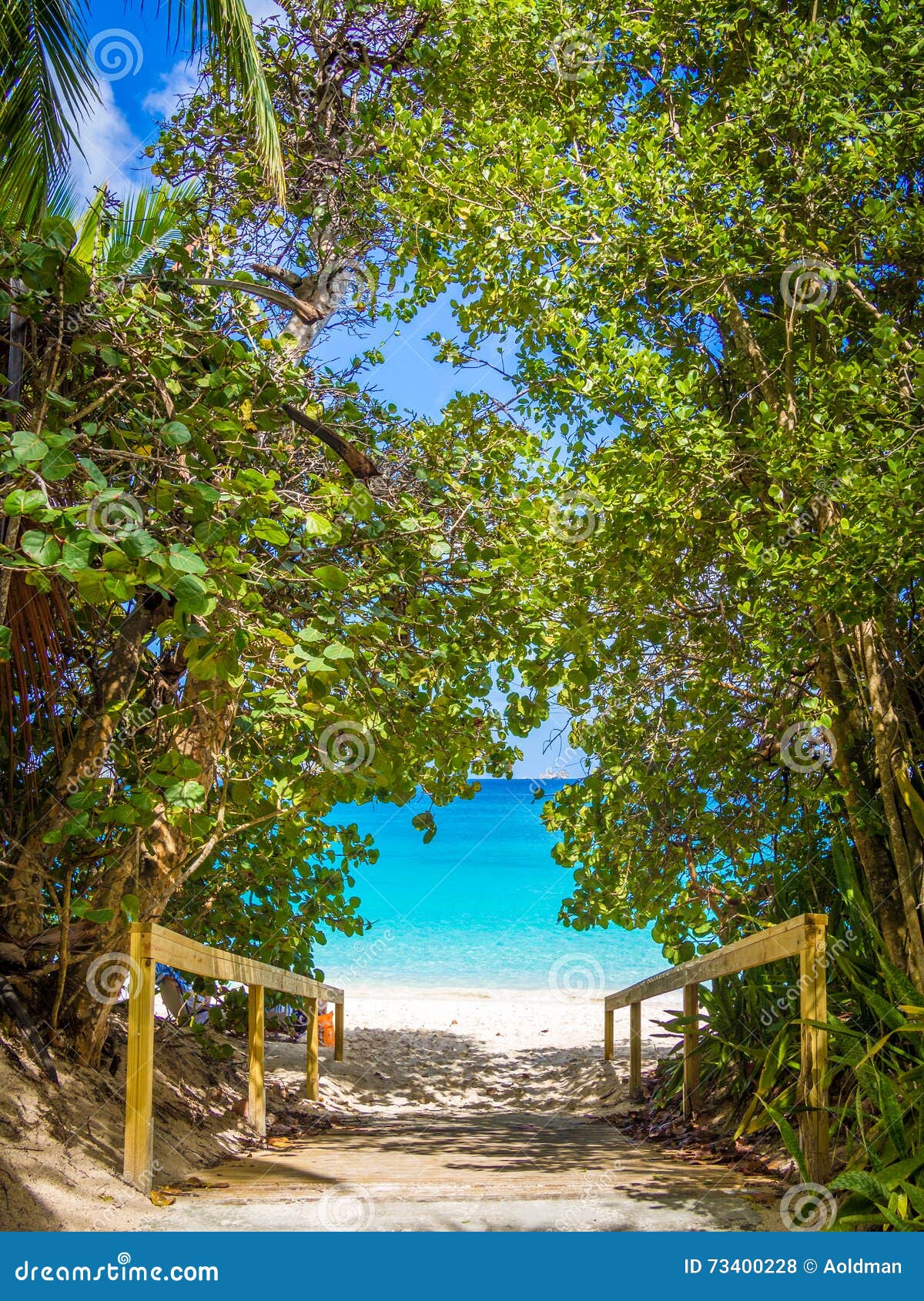 Entrance To the Tropical Beach Stock Photo - Image of shore, florida ...