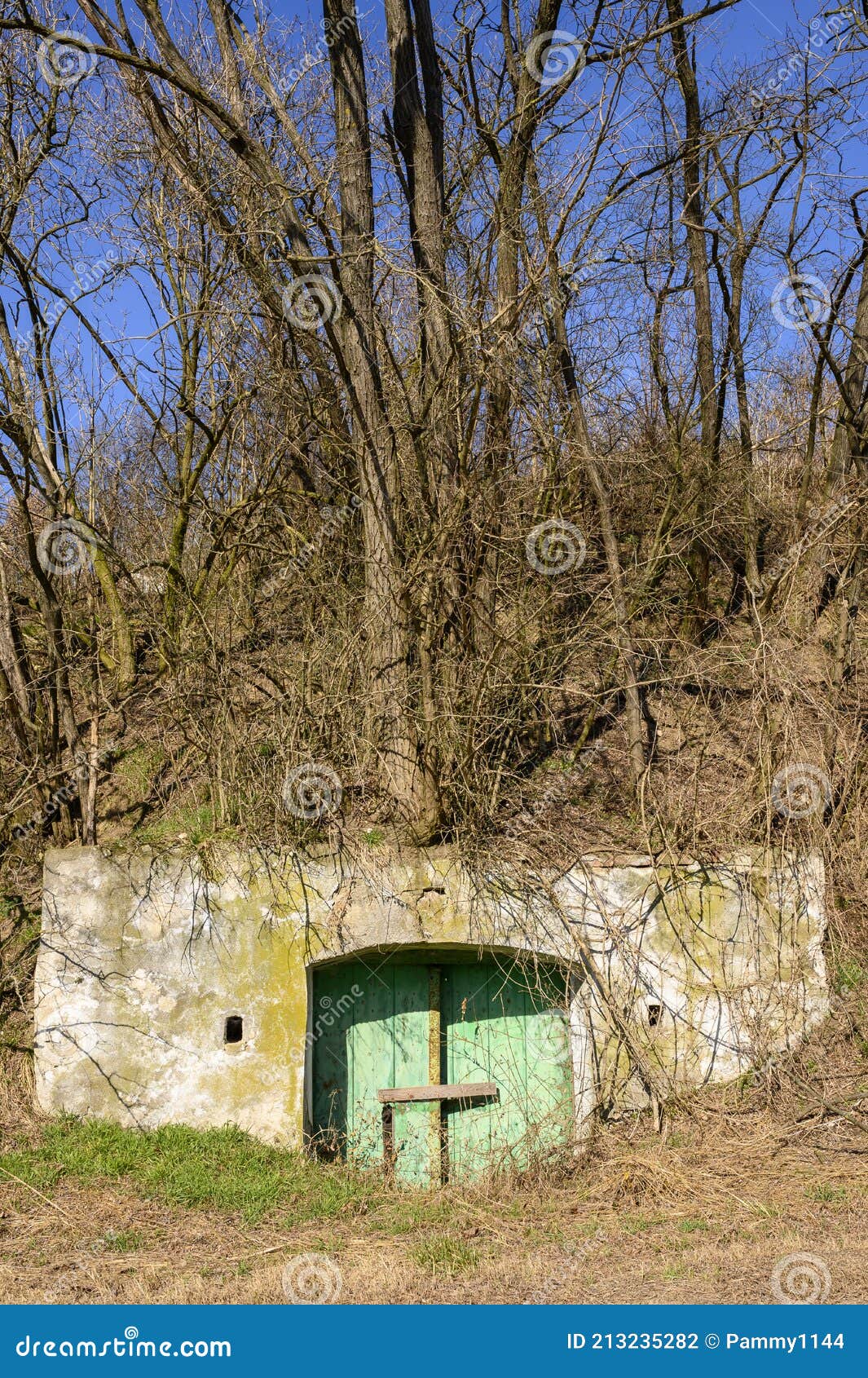Entrance of a Typical Wine Cellar. Stock Photo - Image of cellar, rural ...