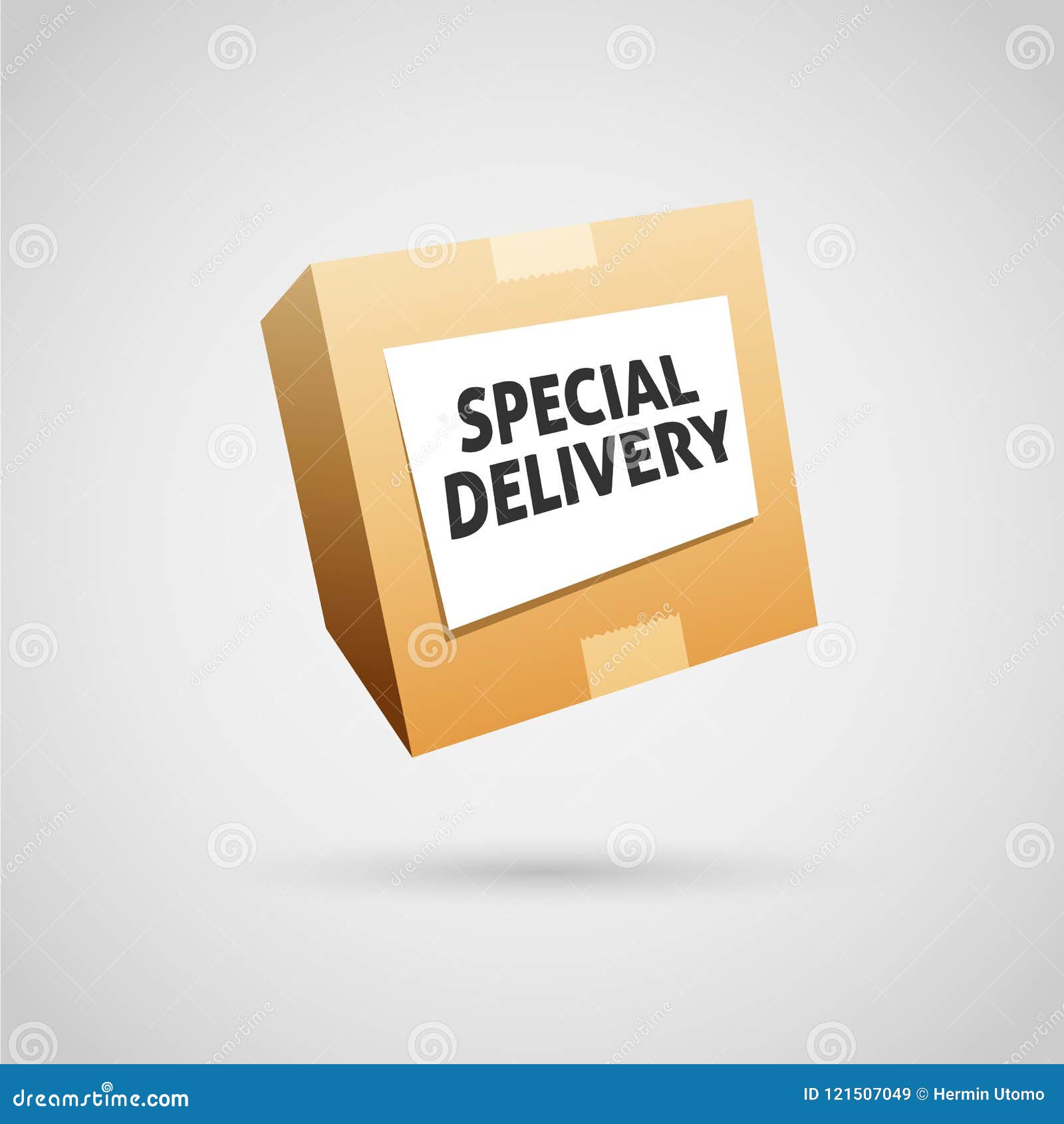 Entrega especial ilustración del vector. Ilustración de limpio - 121507049