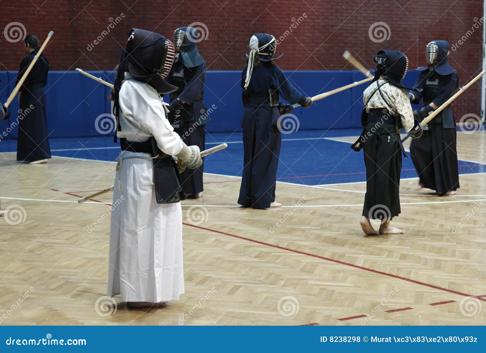 Entrenamiento de Kendo foto de archivo. Imagen de cultura - 8238298