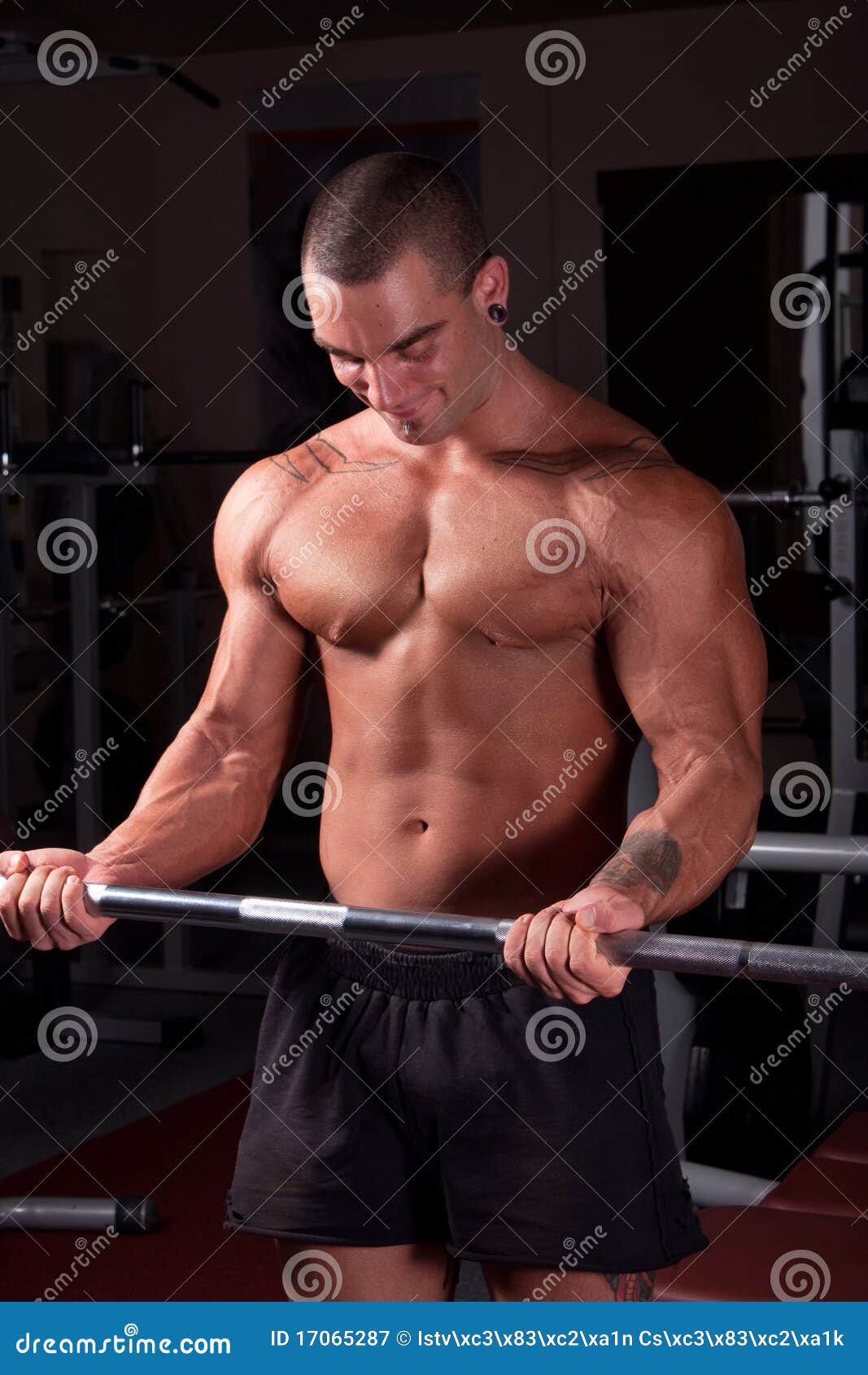 Entrenamiento Del Bodybuilder Imagen de archivo - Imagen de atractivo ...