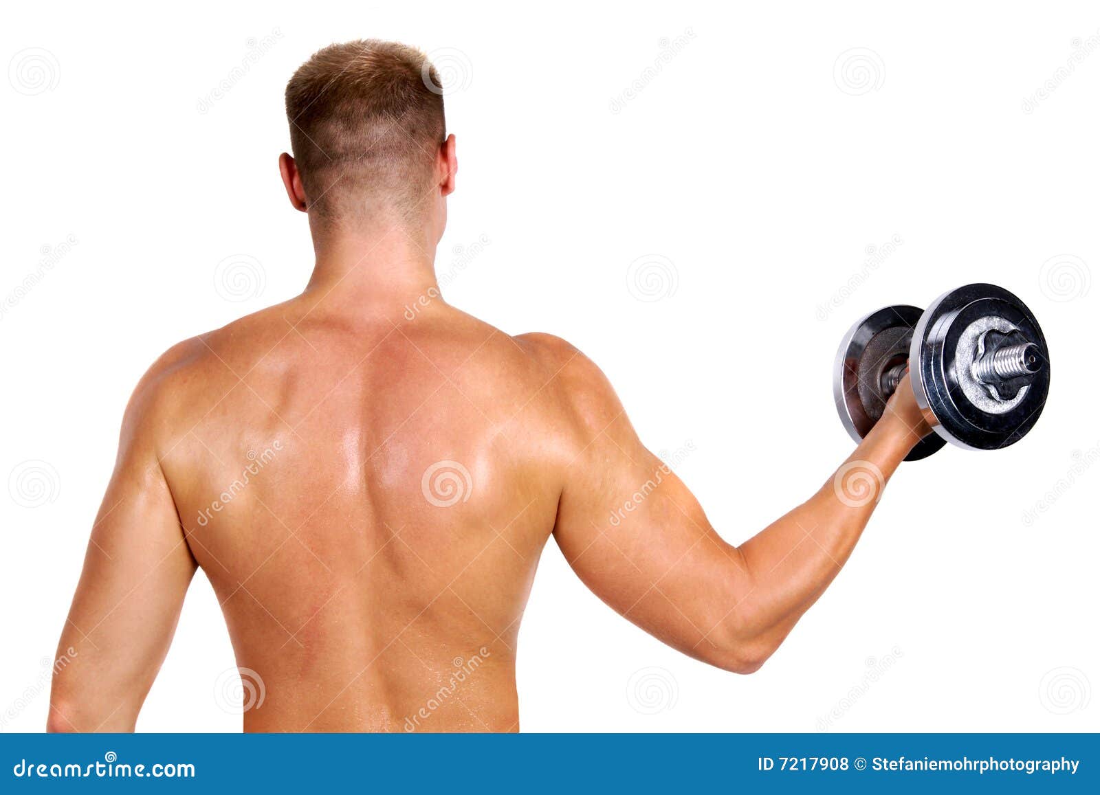 Entrenamiento Del Bodybuilder Foto de archivo - Imagen de aptitud ...