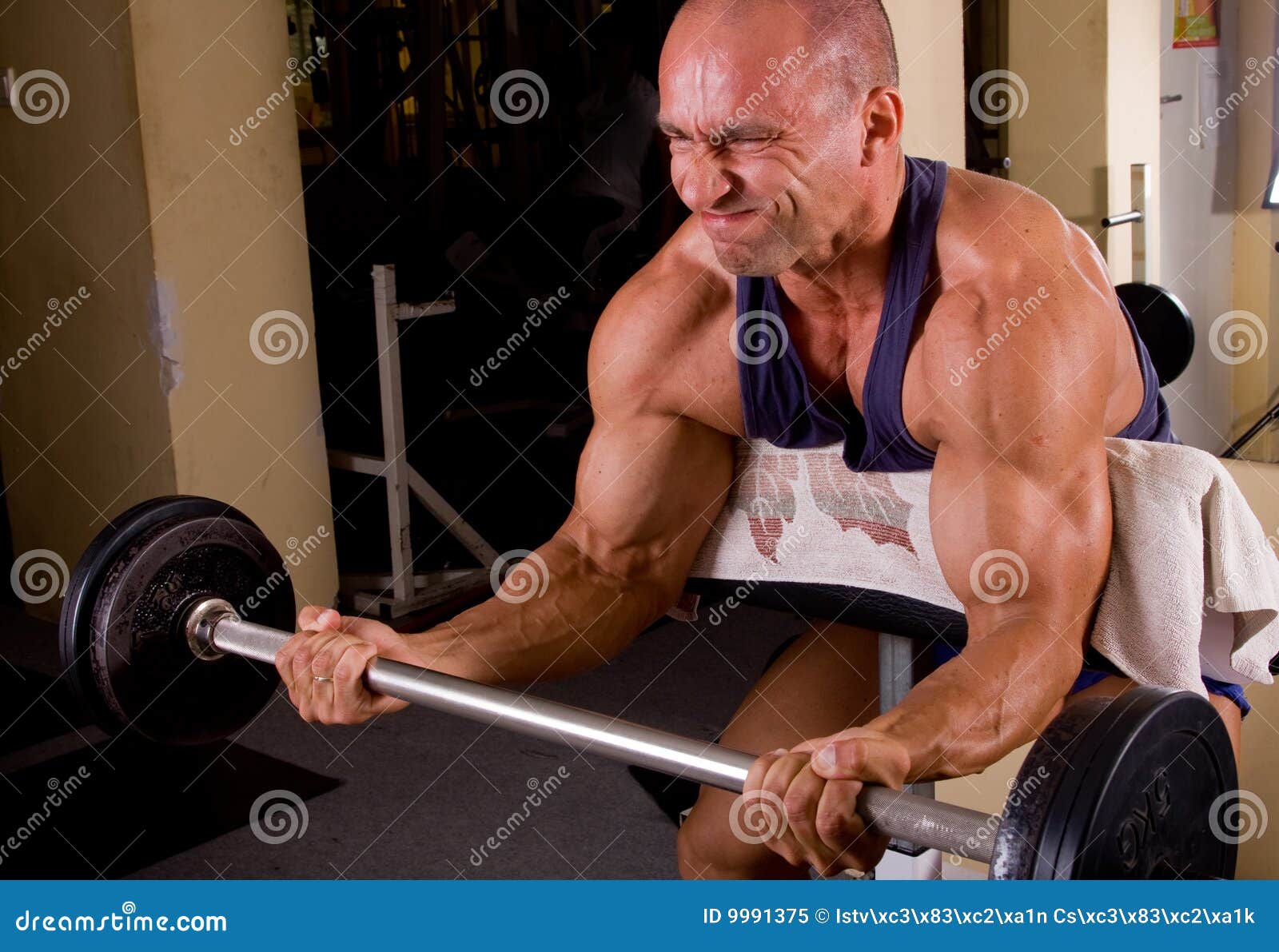 Entrenamiento Del Bodybuilder Imagen de archivo - Imagen de forma ...