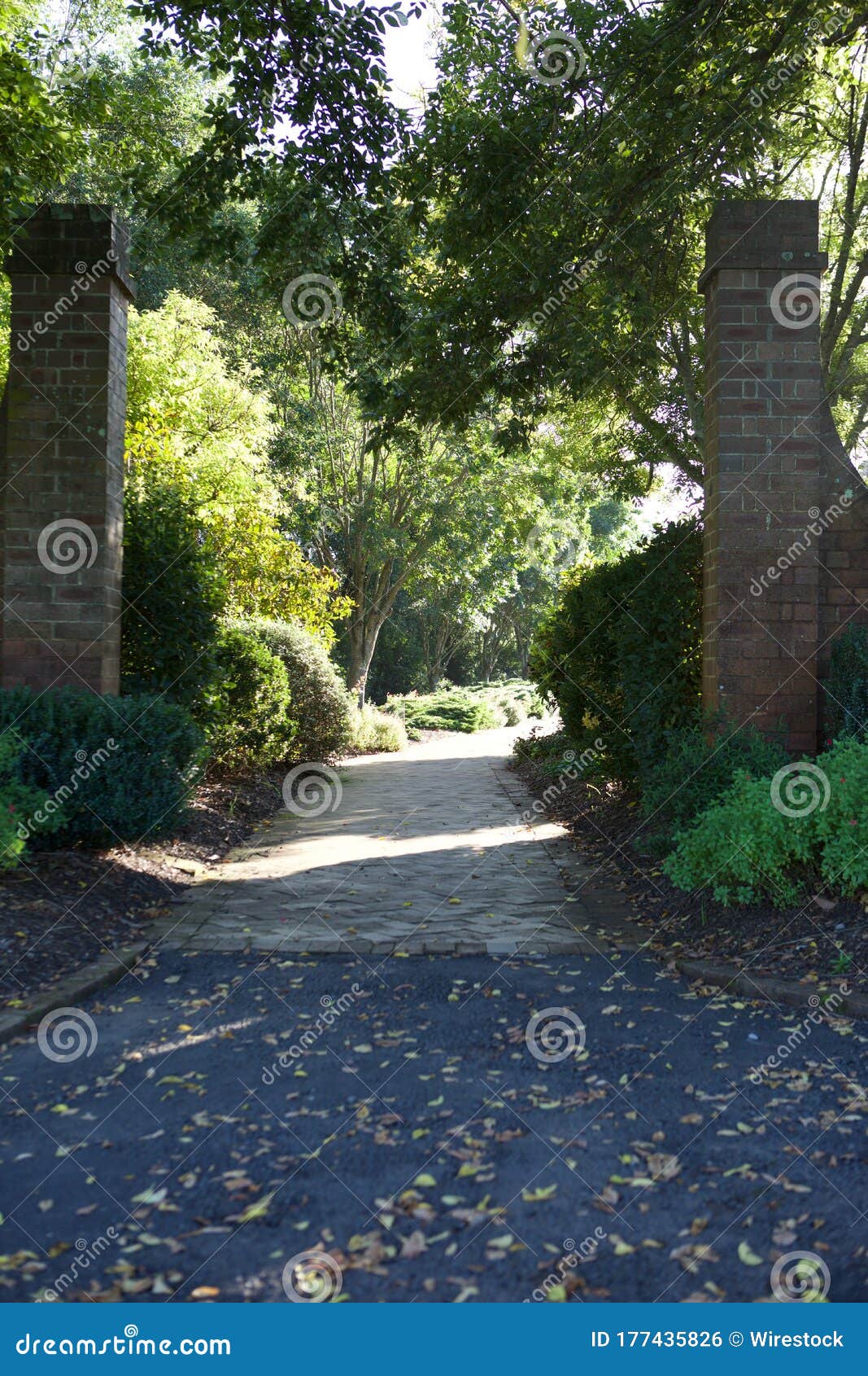 Entryway stock photo. Image of entryway, leaves, brick - 177435826
