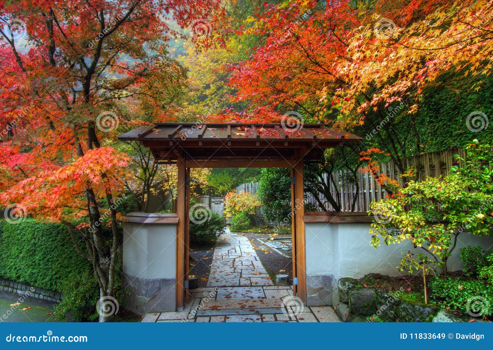 Entryway in Japanese Garden Stock Image - Image of entryway, arbor ...