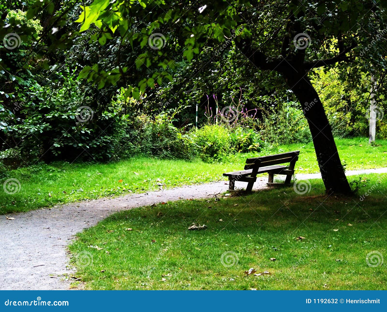 Entspannung im Park stockfoto. Bild von jahreszeit, entspannung - 1192632
