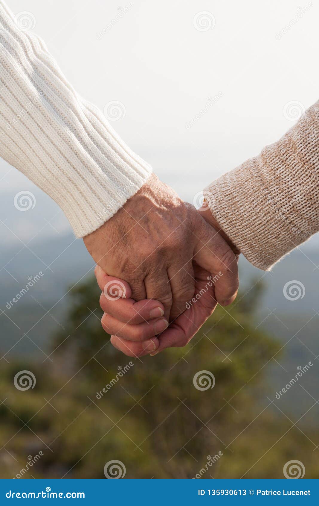 The Entwined Hands Of Lovers On The Table Royalty-Free Stock Photo ...
