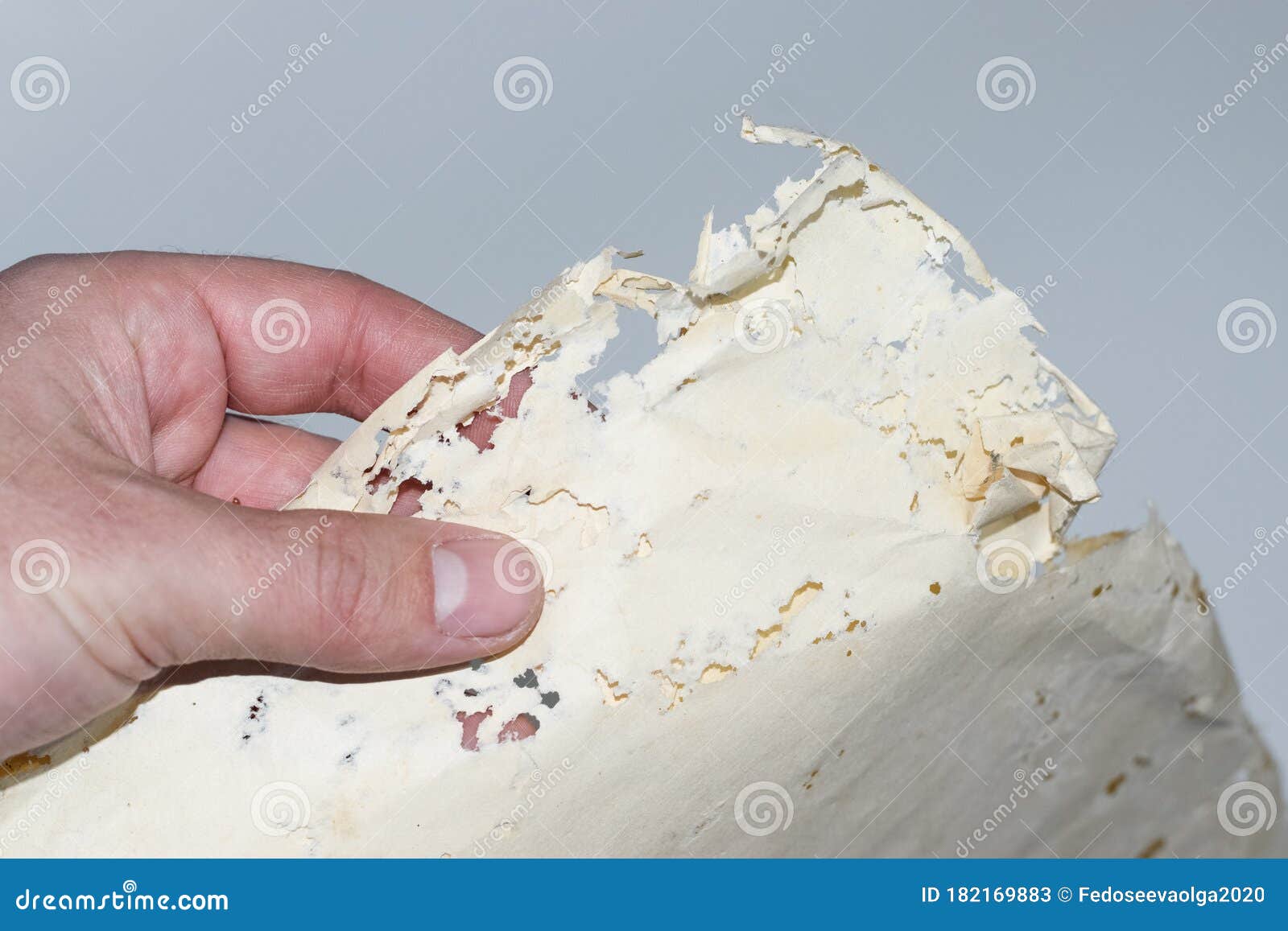 Enveloped with Silverfish, Envelopes of Records in the Man S Hand Stock ...