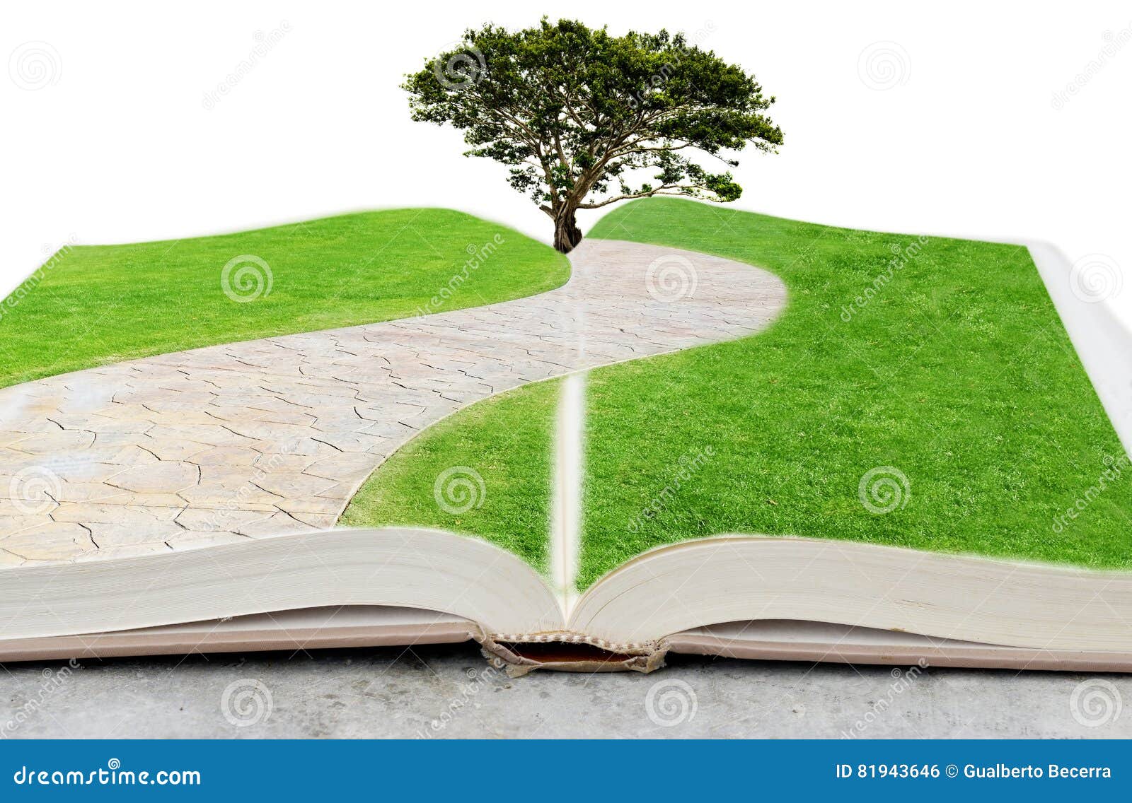 Environment Book stock photo. Image of literature, tree - 81943646
