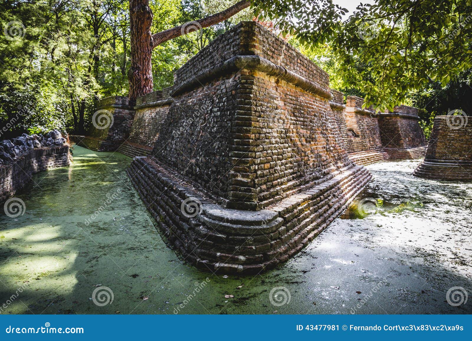 Environment, Building In Ruins On A Green Swamp With Water Stock ...