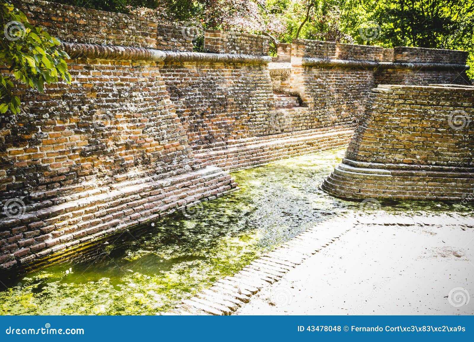 Environment, Building in Ruins on a Green Swamp with Water Stock Photo ...