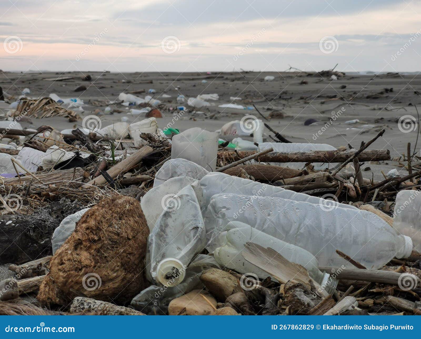 Environment Concept. Plastic Waste and Garbage, Pollution on the Beach ...