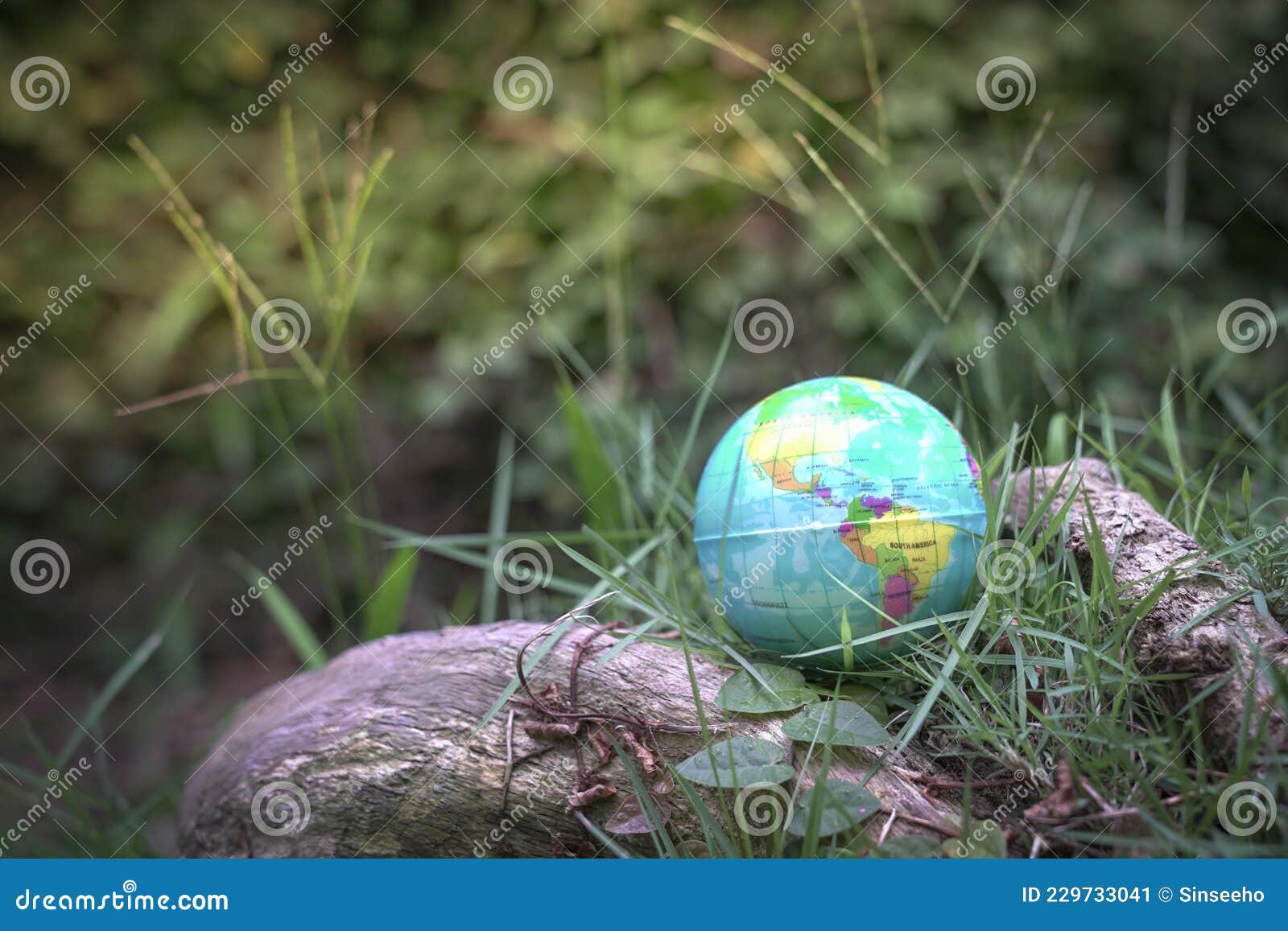 Environment and Conservation Concept Stock Image - Image of ecology ...