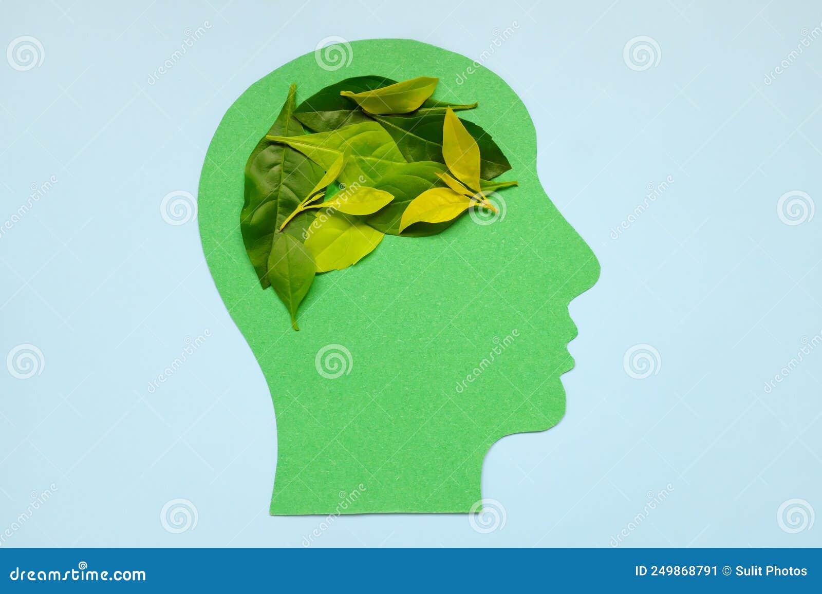 Environment Conservation Ideas, Awareness, Initiative, Innovation and ...