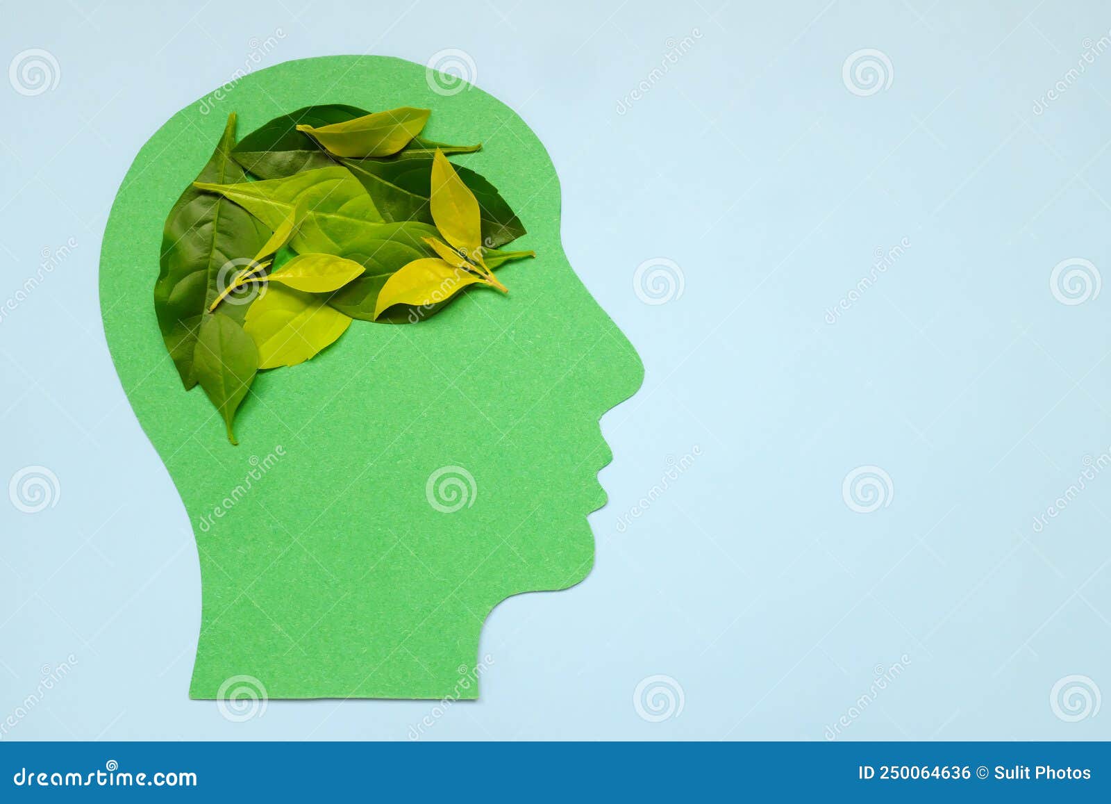 Environment Conservation Ideas, Awareness, Initiative, Innovation and ...