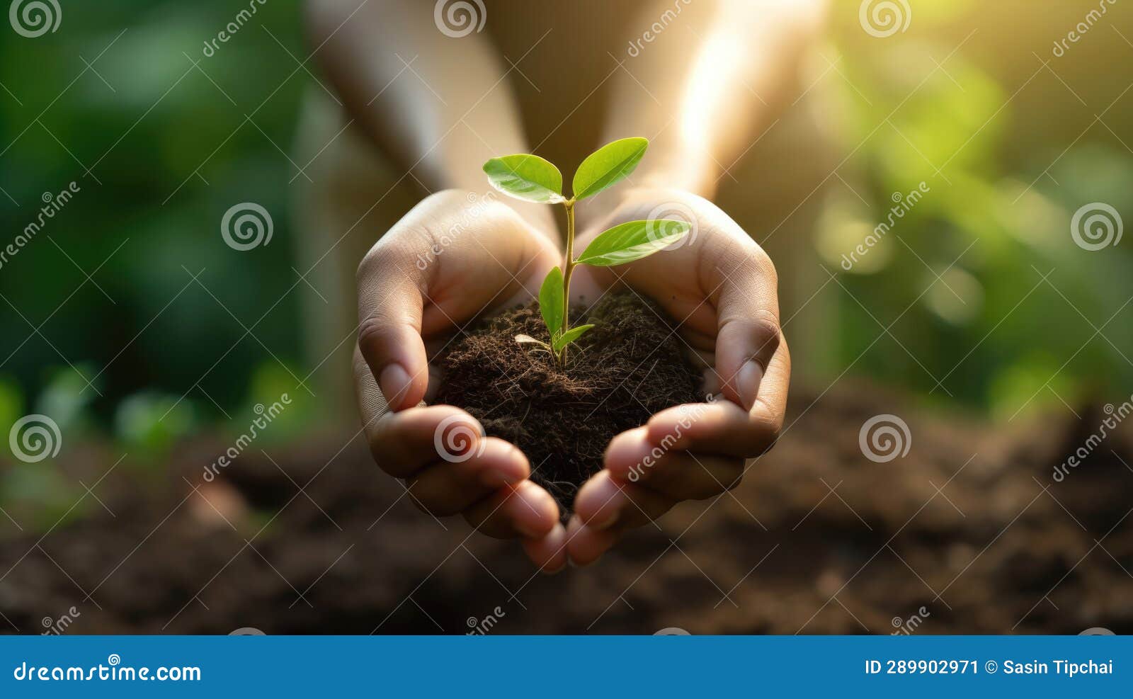 Environment Earth Day in the Hands of Trees Growing Seedlings Stock ...