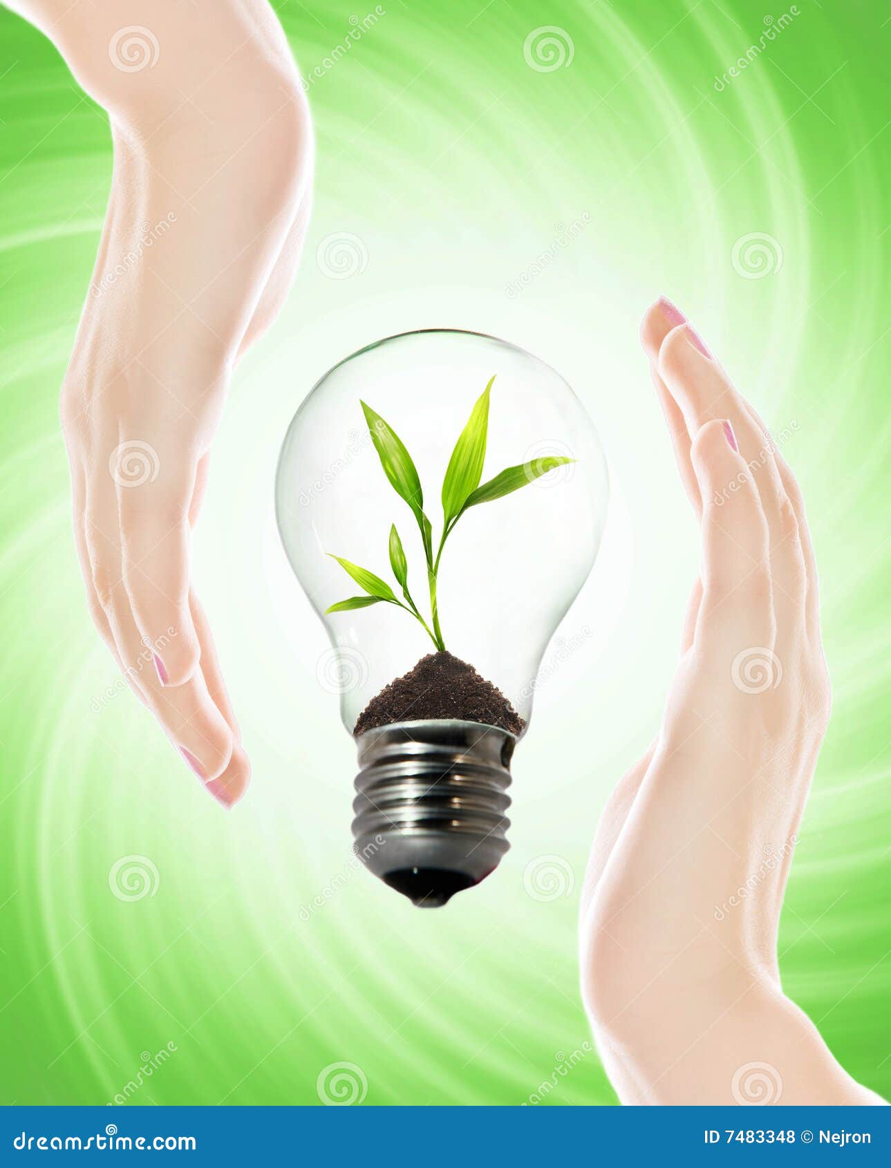 Environment friendly bulb stock photo. Image of ecology - 7483348