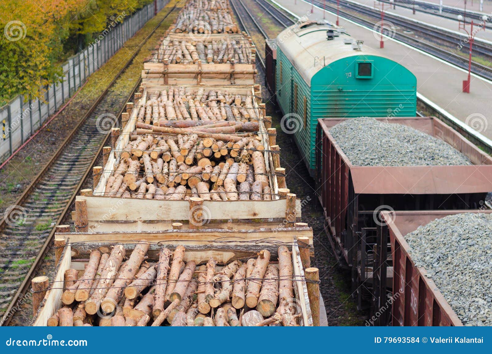 Environment, Nature and Deforestation Forest - Felling of Trees. the ...