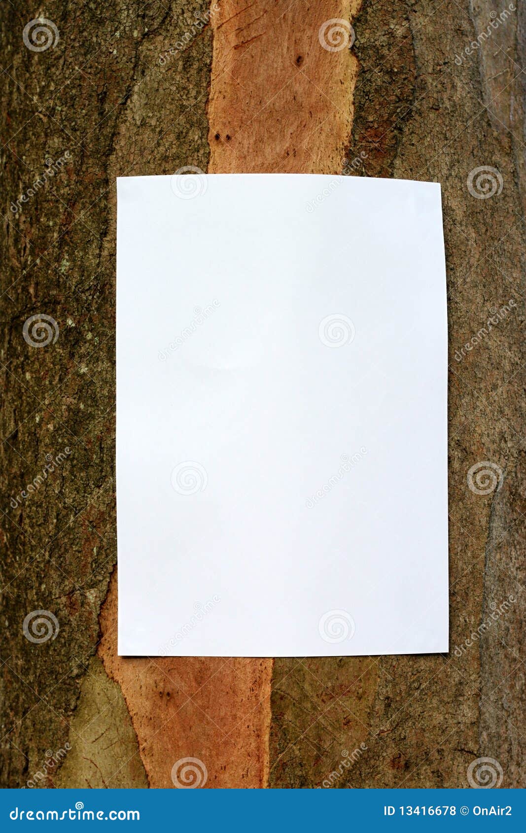 Environment Notice stock photo. Image of green, background - 13416678