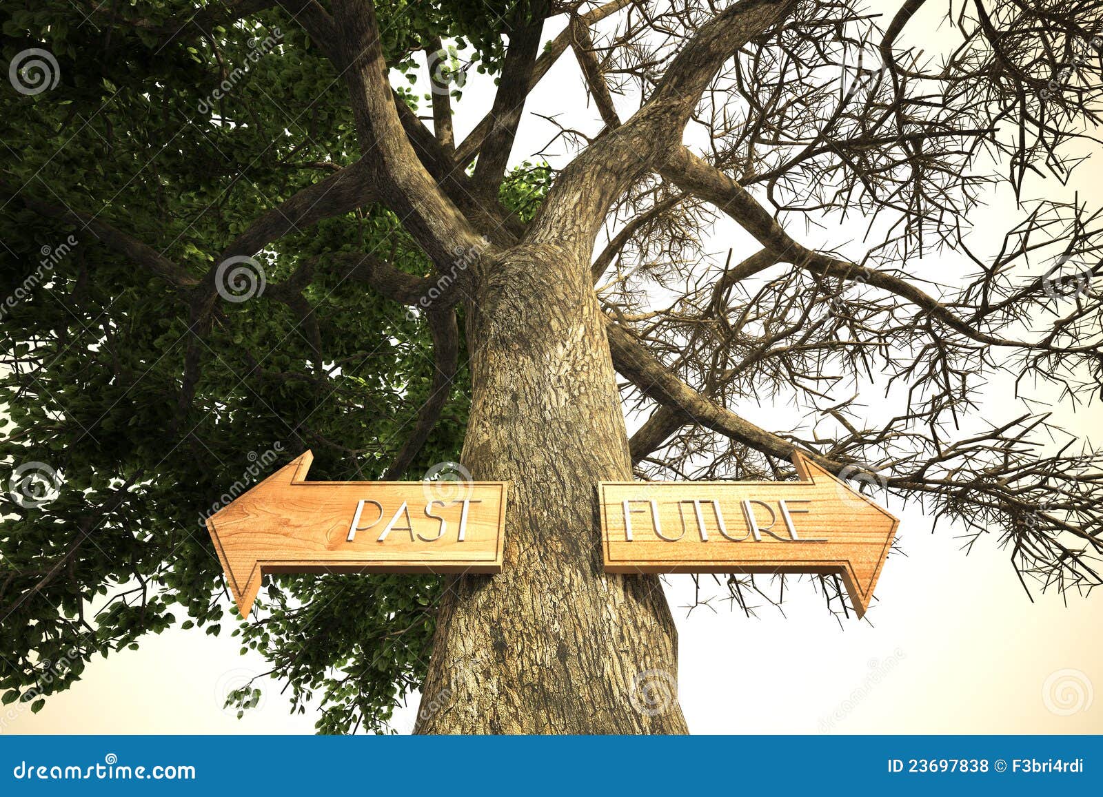 Environment Past Future Tree Sign Stock Illustration - Illustration of ...