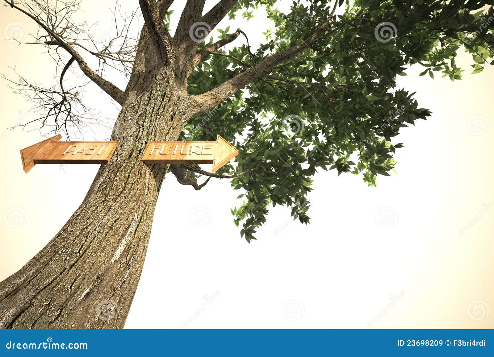 Environment Past Future Tree Sign Stock Illustration - Illustration of ...