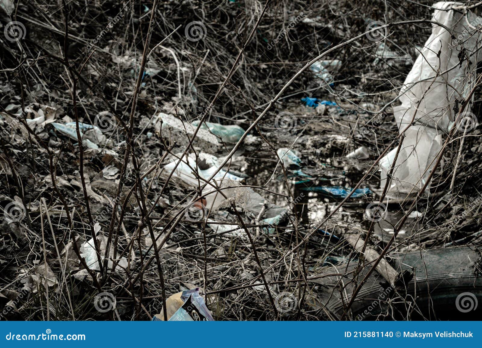 Environment and Plastic Garbage in Woodland. Rubbish Trash, Waste in ...