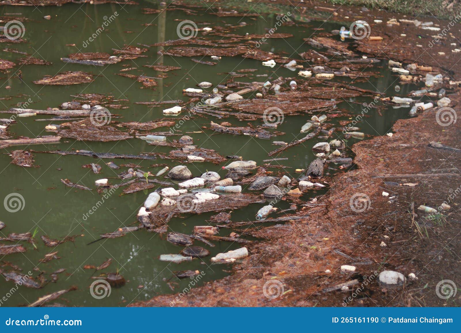 Environment Pollution. Plastic and Trash Pollution on Beautiful Lake ...