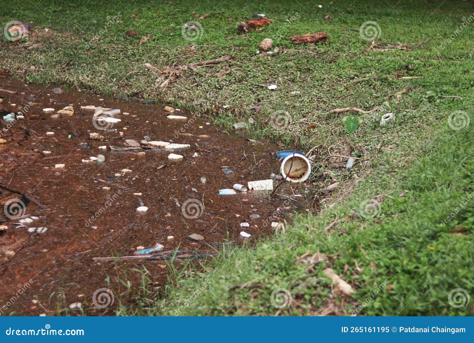 Environment Pollution. Plastic and Trash Pollution on Beautiful Lake ...