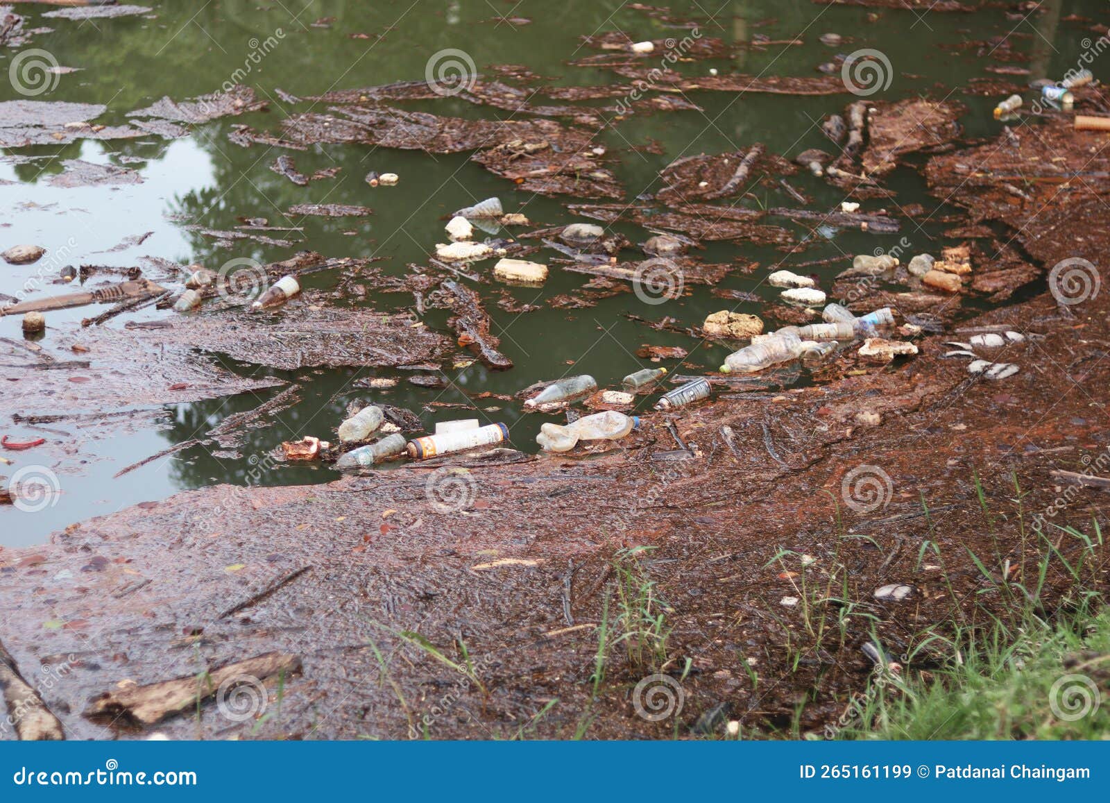 Environment Pollution. Plastic and Trash Pollution on Beautiful Lake ...