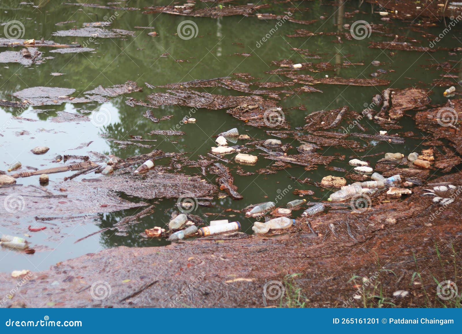 Environment Pollution. Plastic and Trash Pollution on Beautiful Lake ...
