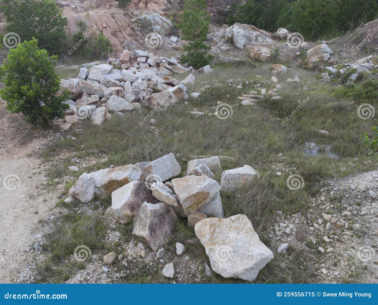 Environment Scene Around the Quarry Area. Stock Image - Image of plant ...