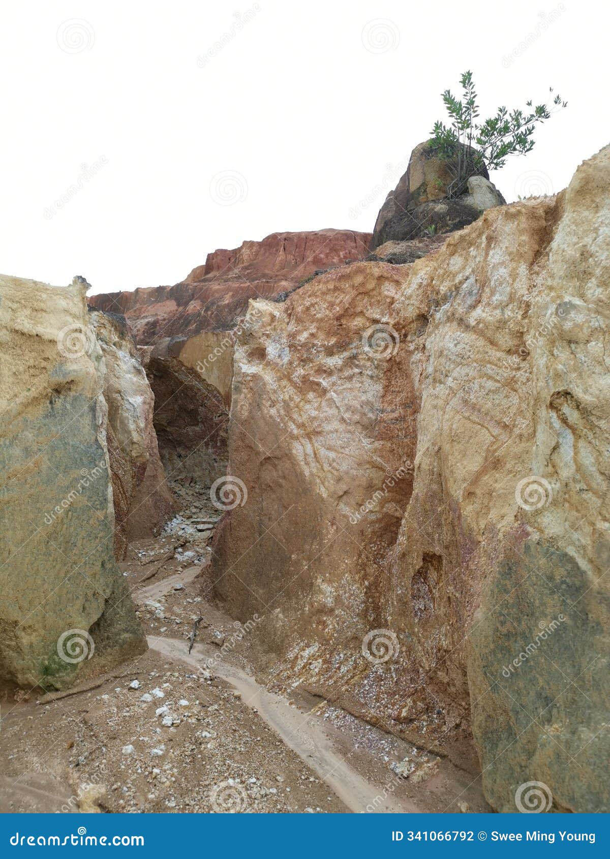 Environment Scene Around the Soil Texture and Pattern of the Limestone ...