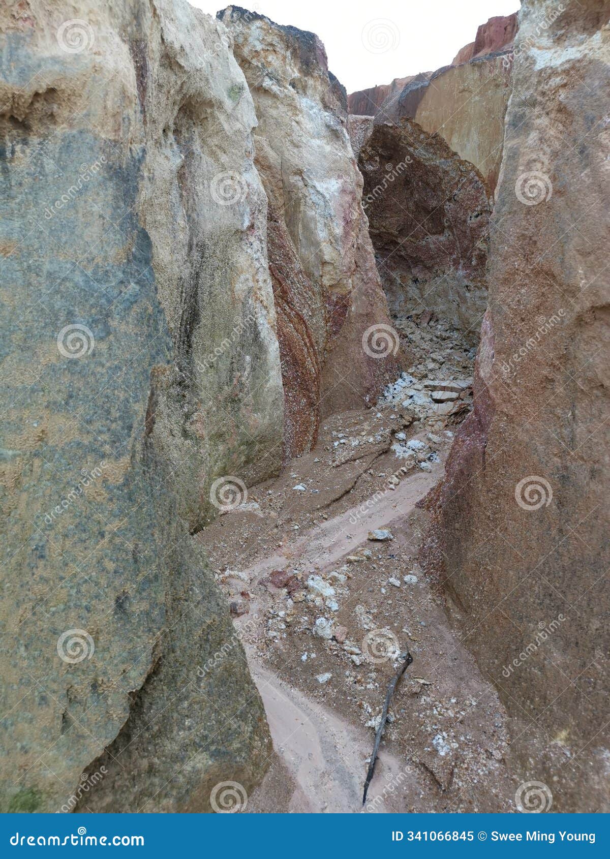 Environment Scene Around the Soil Texture and Pattern of the Limestone ...