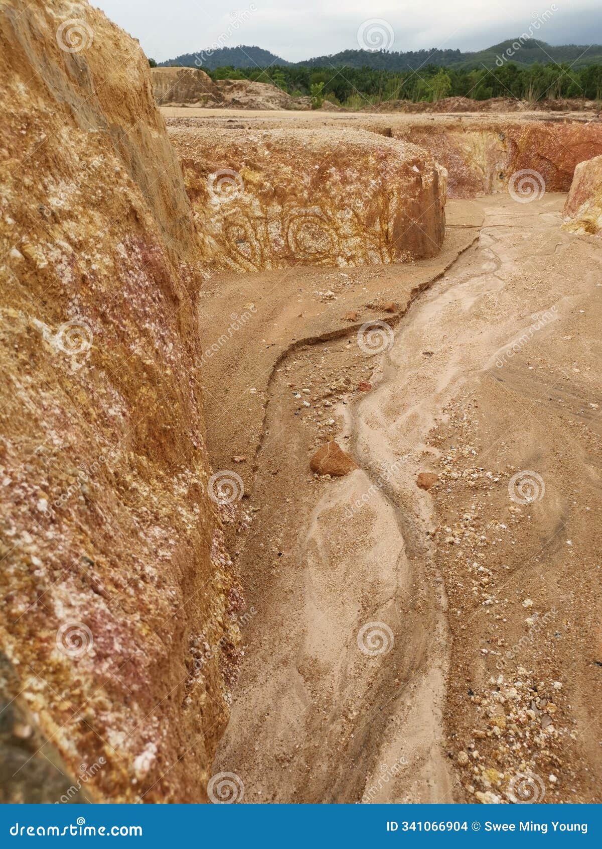 Environment Scene Around the Soil Texture and Pattern of the Limestone ...